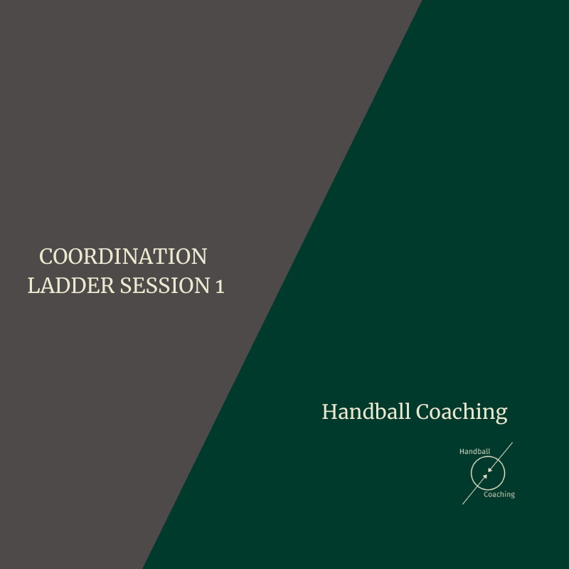 Portfolio – handball coaching
